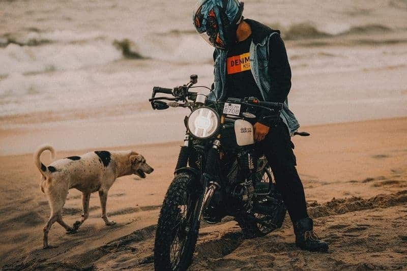 What To Do If A Dog Chases Your Motorcycle (Simple Guide)